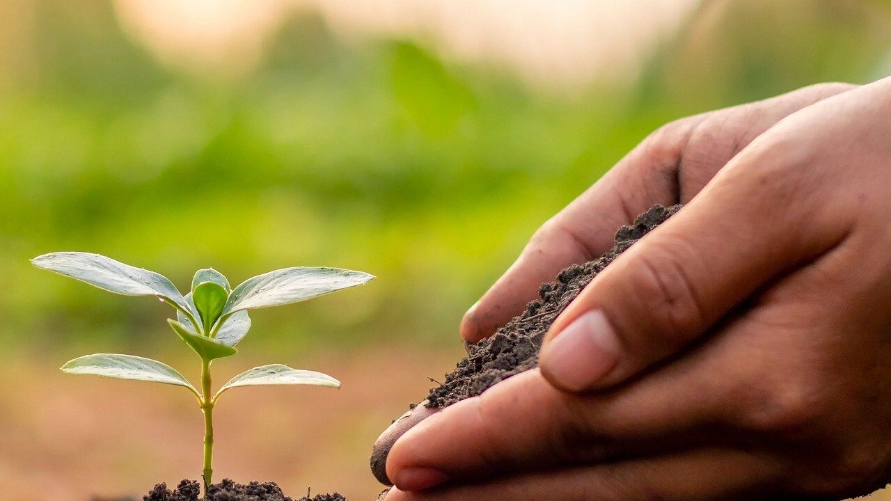 DAERA extends deadline for soil health scheme - Agriland.co.uk